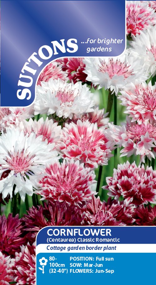 SUTTONS Suttons Cornflower Classic Romantic Centaurea Seeds - Spring ...