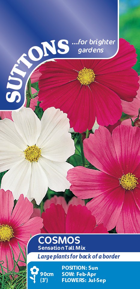 SUTTONS Suttons Cosmos Sensation Tall Mix Seeds - Spring/Summer Flowers