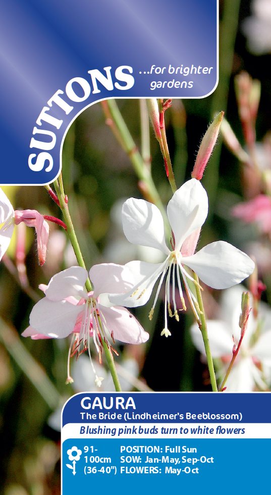 SUTTONS Suttons Guara The Bride Seeds - Spring/Summer Flowers - Mole Avon