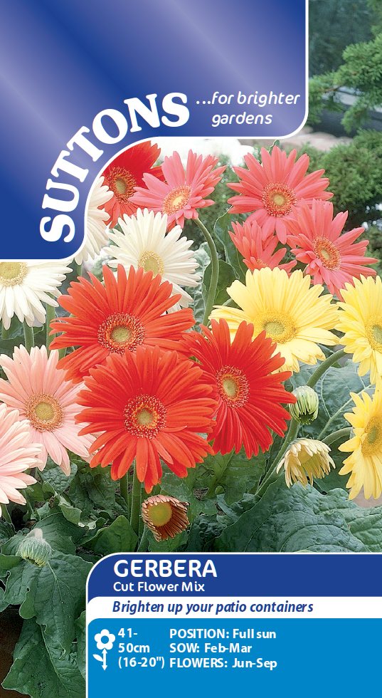 SUTTONS Suttons Gerbera Cut Flower Mix Seeds - Spring/Summer Flowers