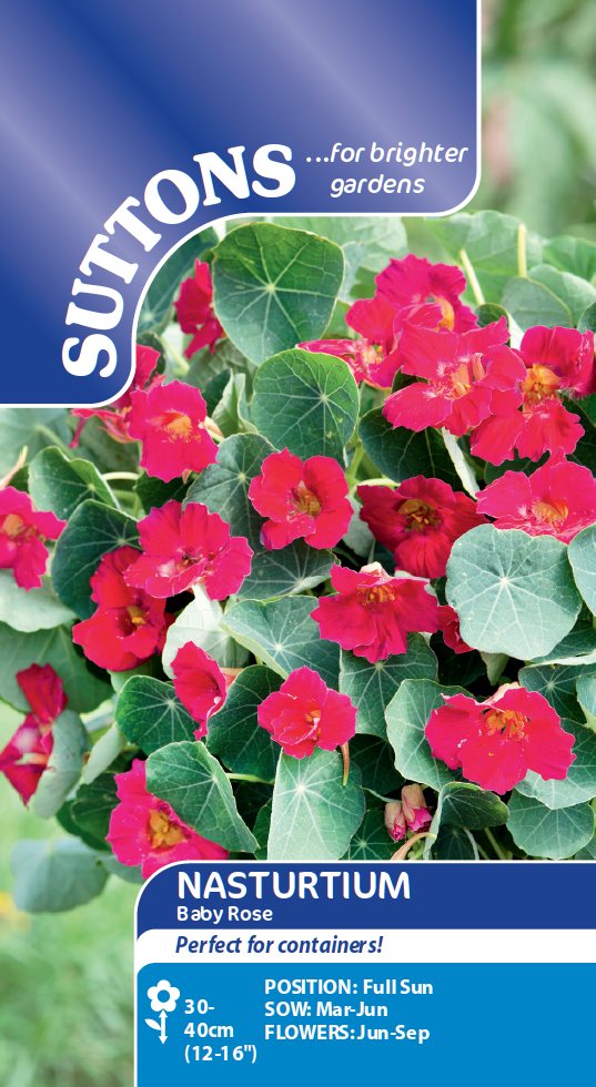 SUTTONS Suttons Nasturtium Baby Rose Seeds - Spring/Summer Flowers