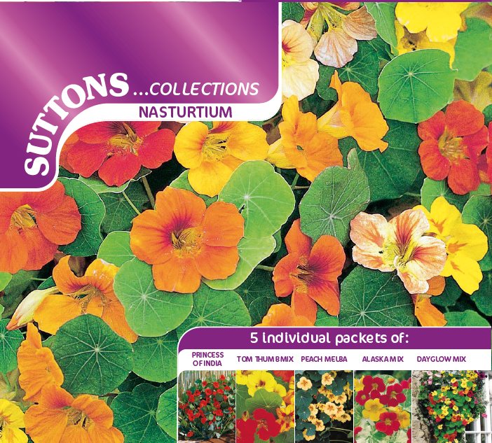 SUTTONS Suttons Nasturtium Collection Of Seeds - Spring/Summer Flowers