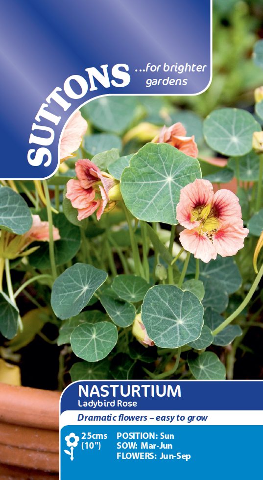 SUTTONS Suttons Nasturtium Ladybird Rose Seeds - Spring/Summer Flowers