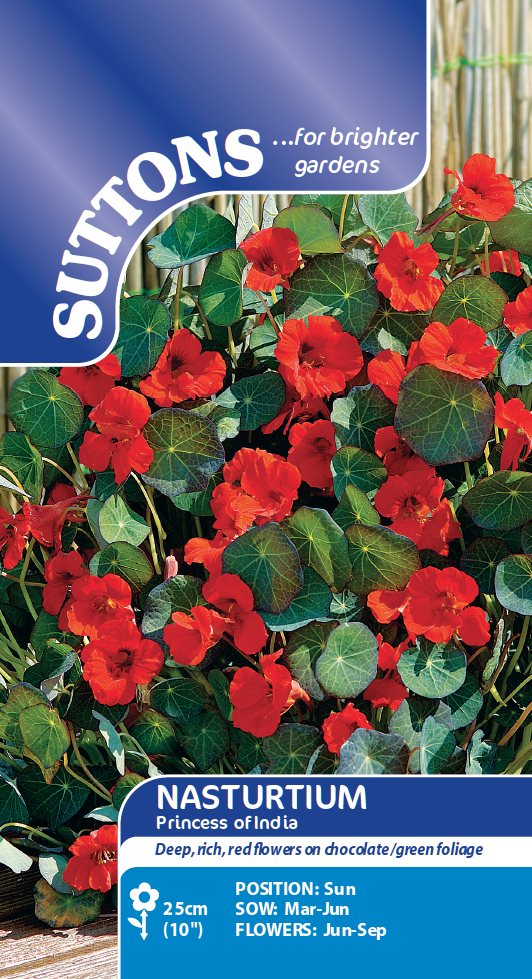 SUTTONS Suttons Nasturtium Princess Of India Seeds - Spring/Summer ...