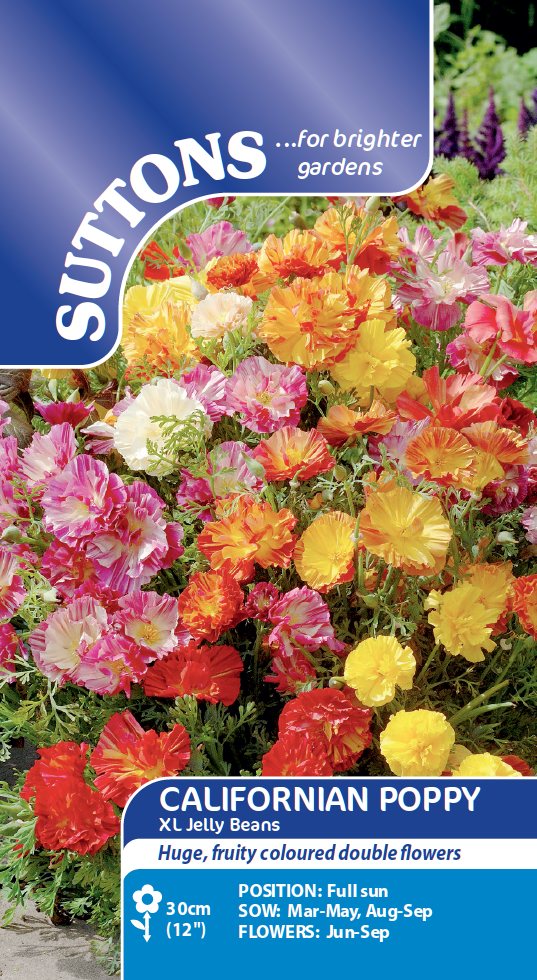 SUTTONS Suttons Californian Poppy XL Jelly Beans Seeds - Spring/Summer ...