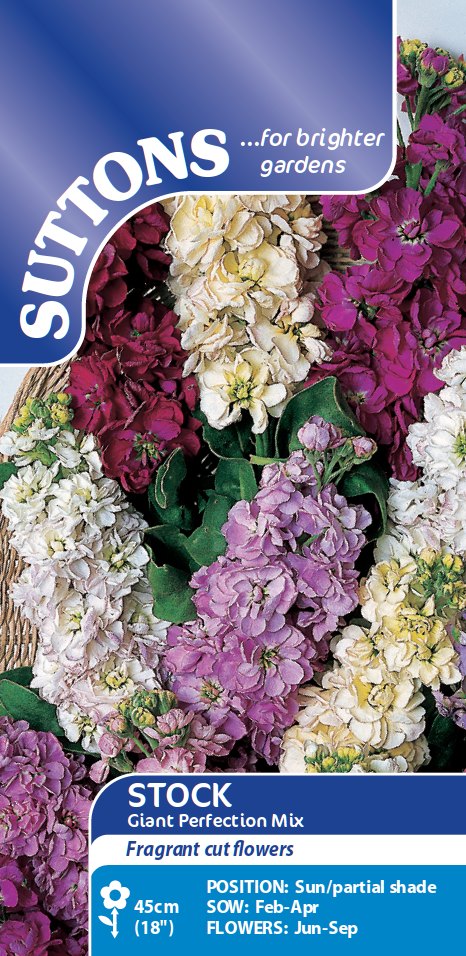 SUTTONS Suttons Stock Giant Perfection Mix Seeds - Spring/Summer Flowers