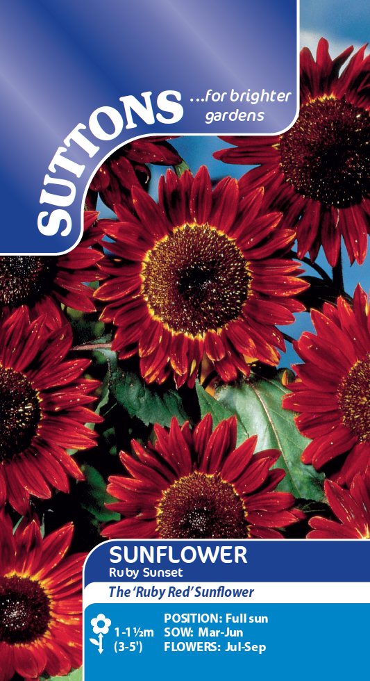 SUTTONS Suttons Sunflower Ruby Sunset Seeds - Spring/Summer Flowers