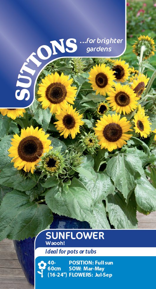 SUTTONS Suttons Sunflower Waooh! Seeds - Spring/Summer Flowers
