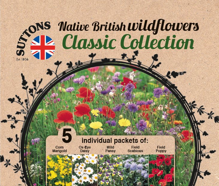 SUTTONS Suttons Native British Wildflowers Classic Collection Seeds - Spring/Summer Flowers