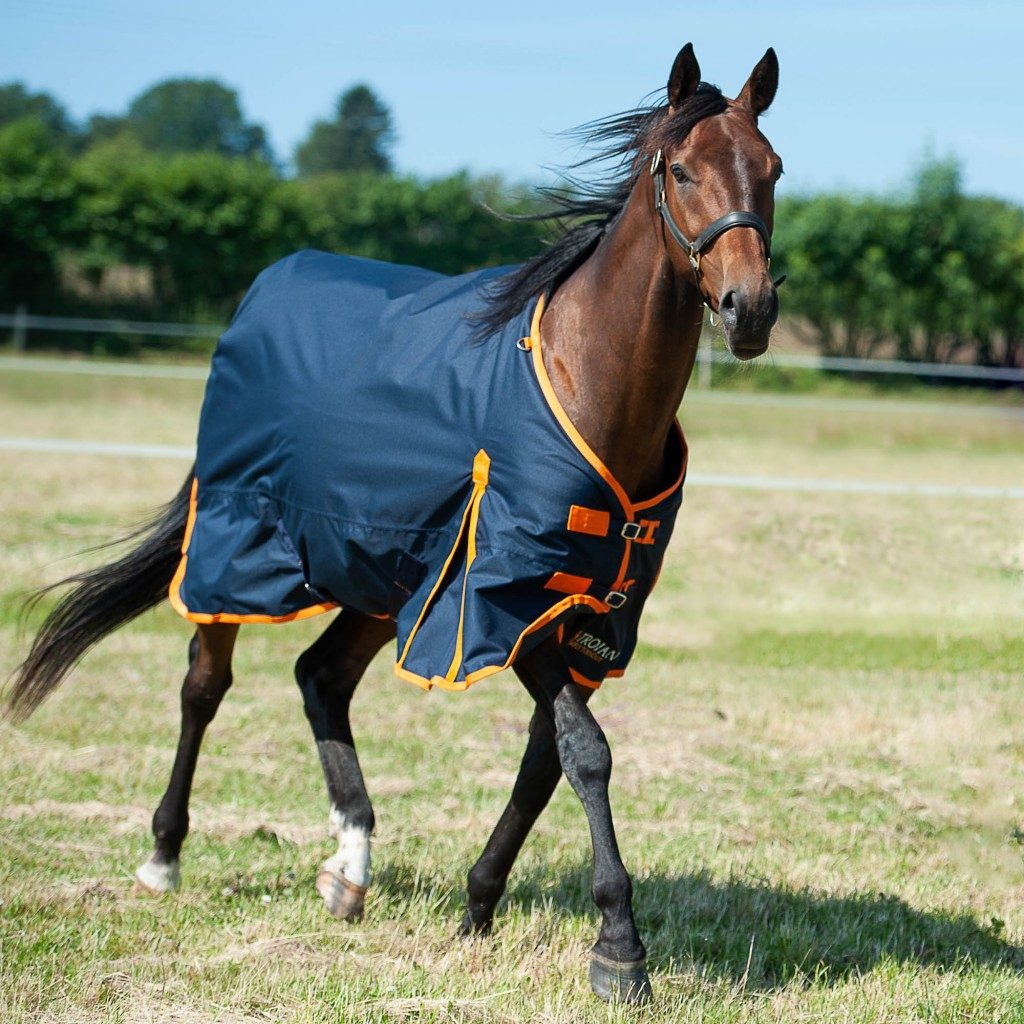 Trojan 100g Turnout Rug Navy - Horse Rugs