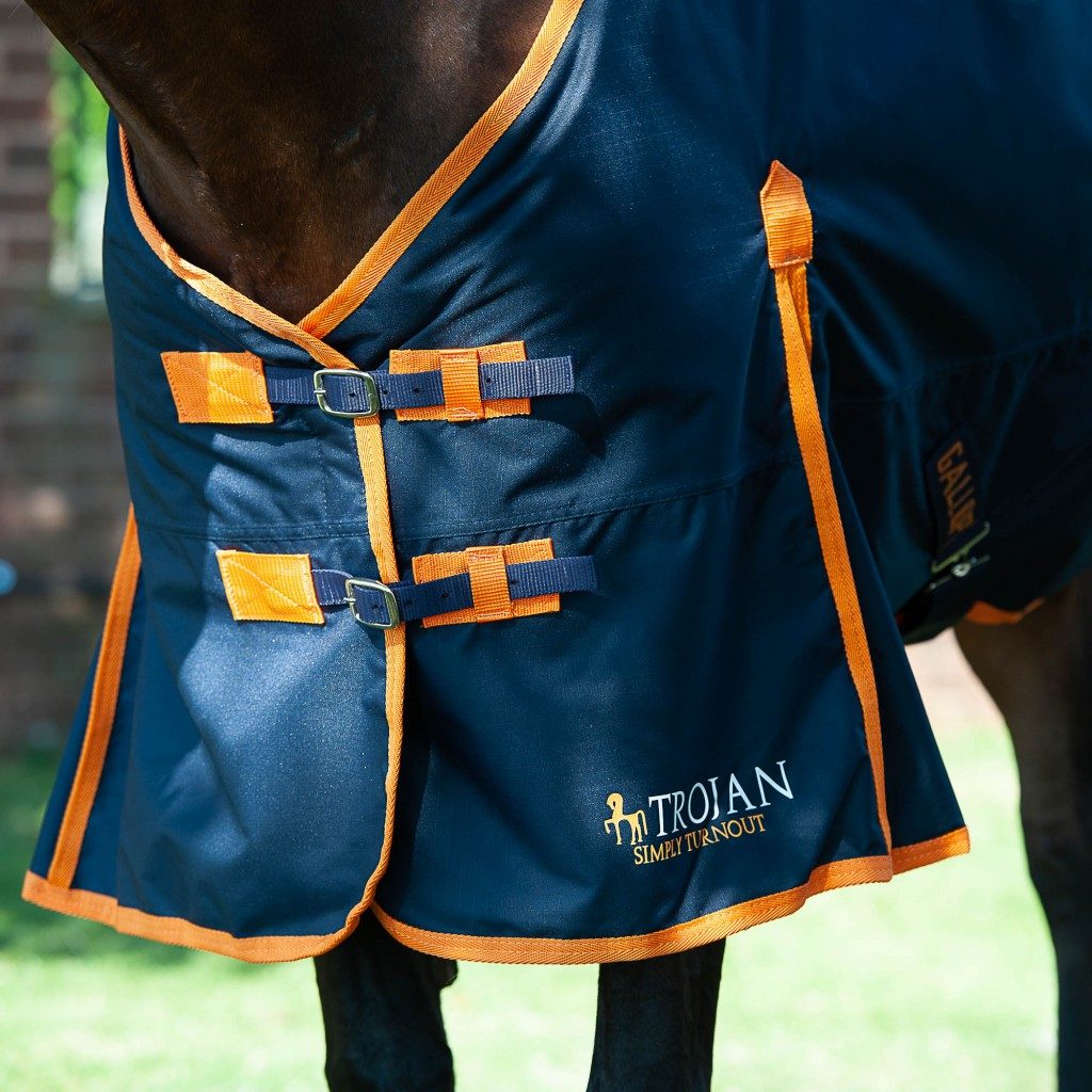 Trojan 100g Turnout Rug Navy - Horse Rugs