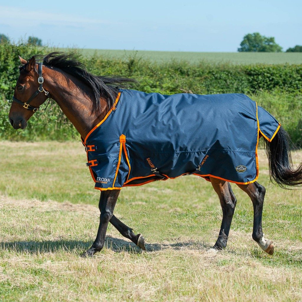 Trojan 100g Turnout Rug Navy - Horse Rugs