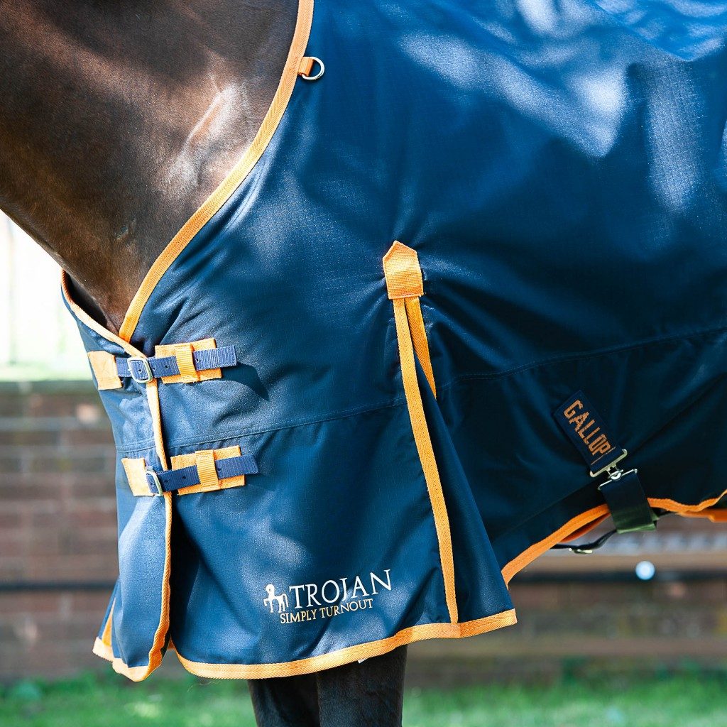 Trojan 100g Turnout Rug Navy - Horse Rugs