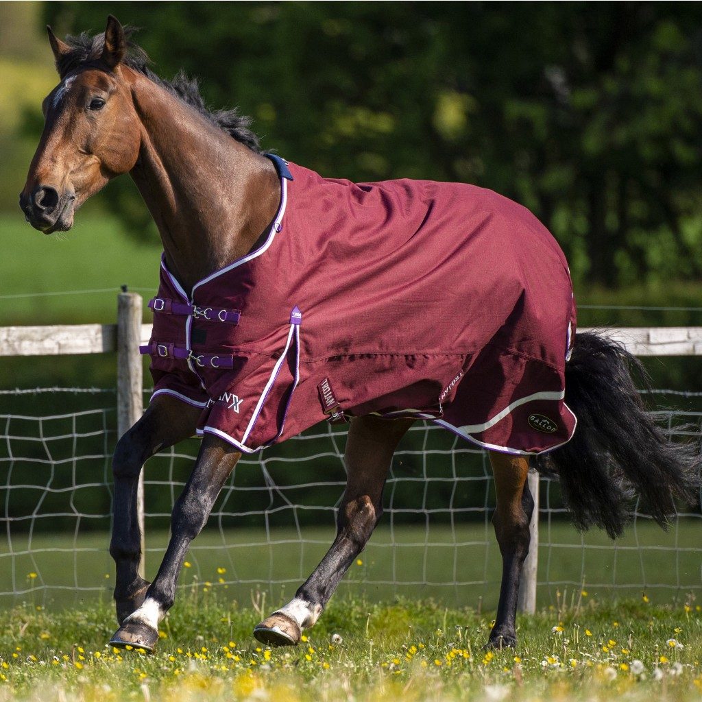 Trojan Xtra Lightweight Turnout Rug Burgundy - Horse Rugs