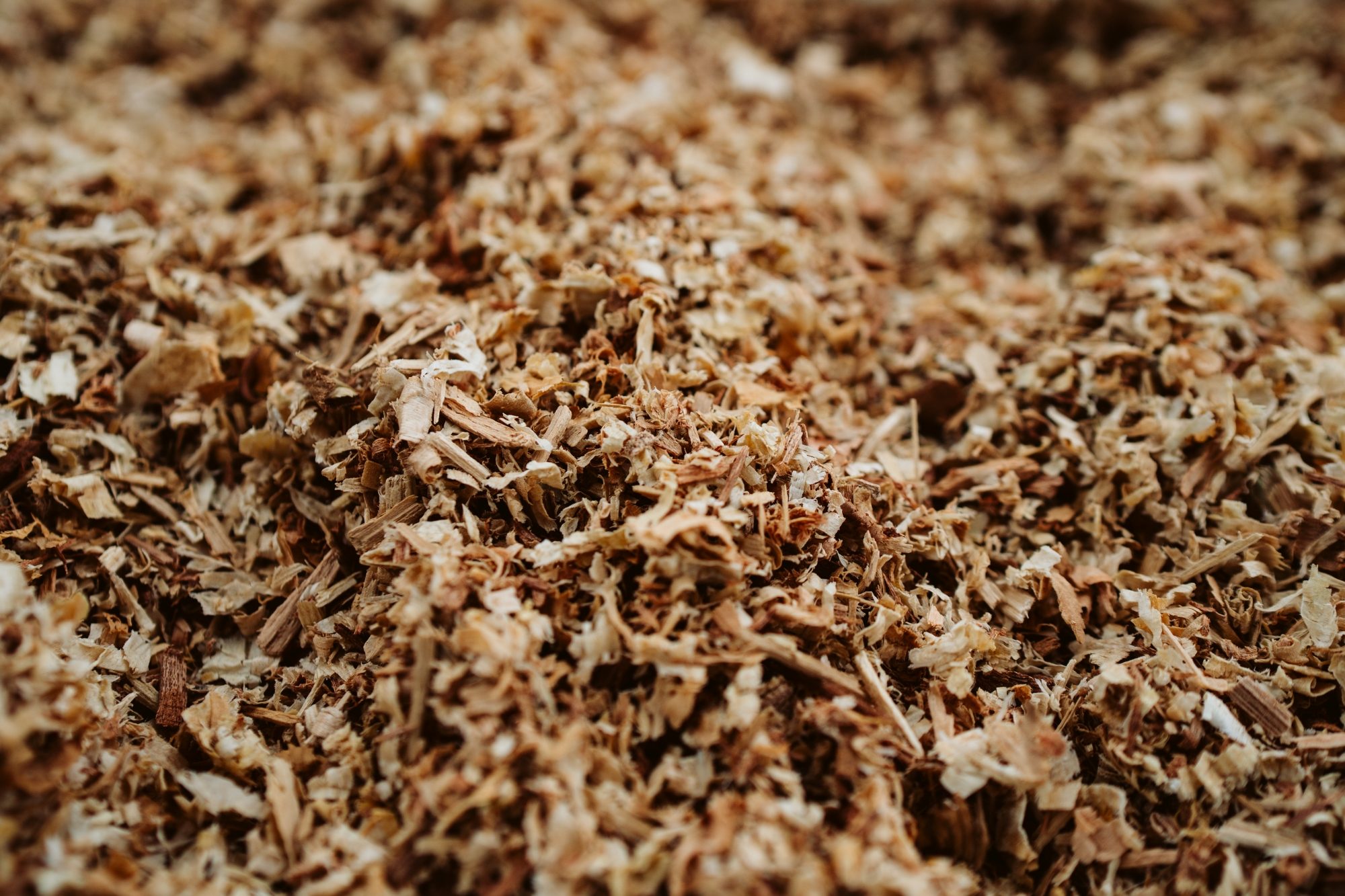Bodens Eco Mixed Shavings - Buy Stable Bedding Online