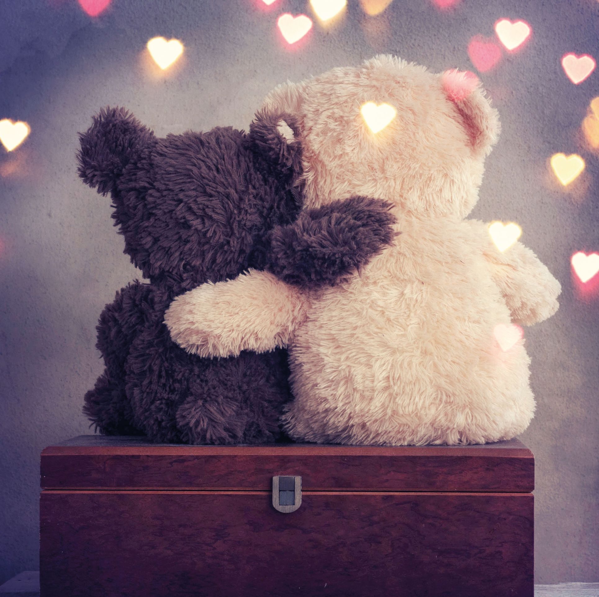 Cube Bear Hug Card - Animals - Mole Avon