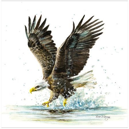 Bree Merryn Ember Bird Card - Animals