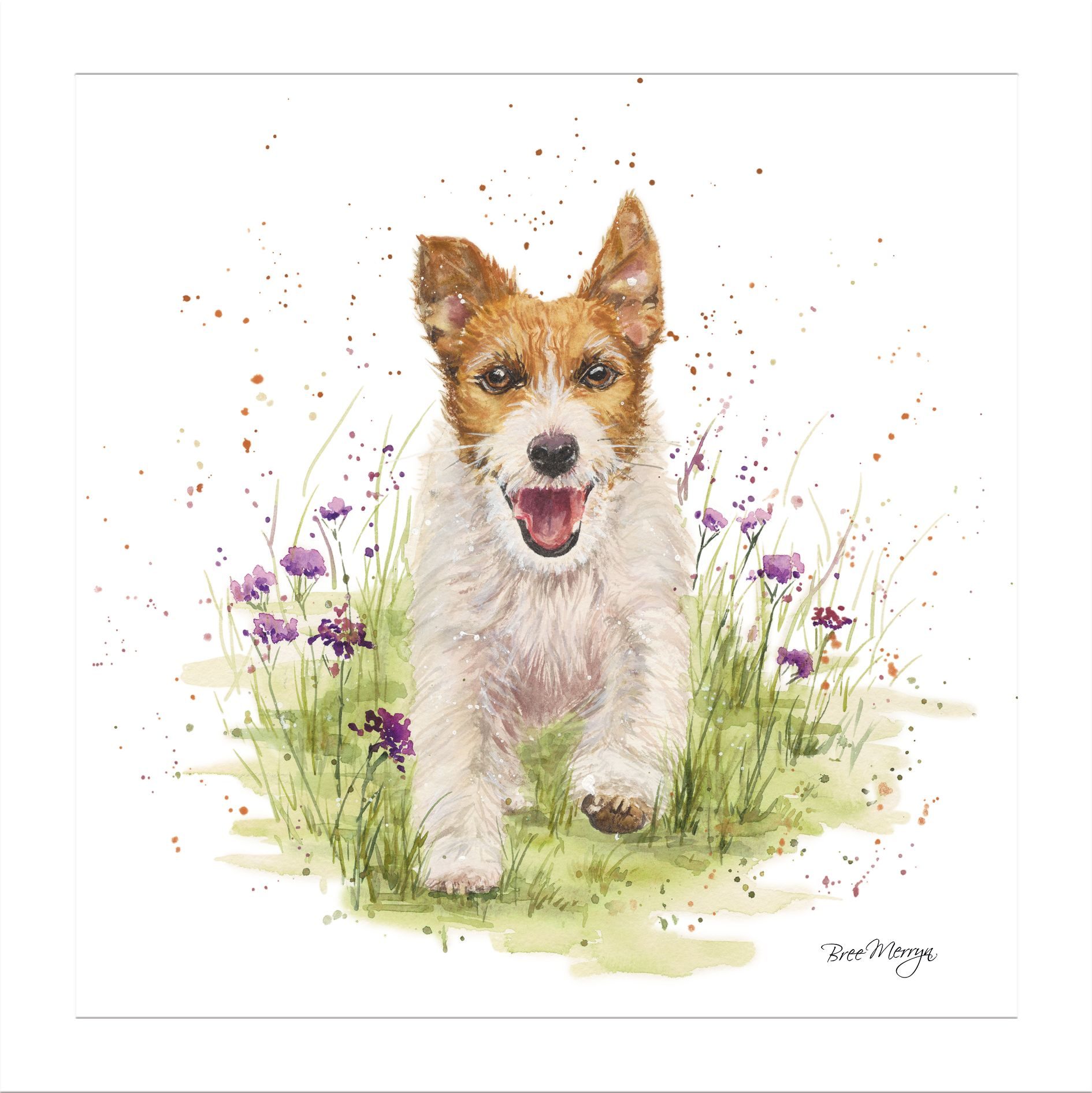 Bree Merryn Jed Dog Card - Animals