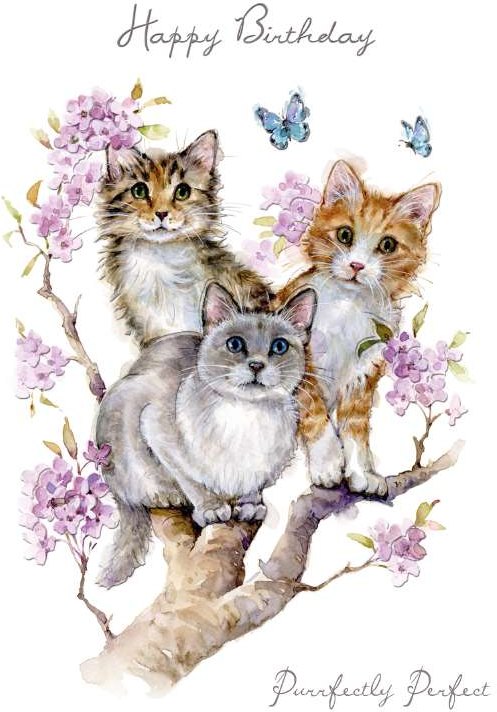 Paw Purrfectly Perfect Birthday Card - Birthday