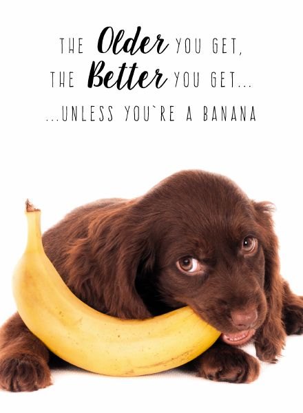 Picture This The Older You Get Card - Birthday