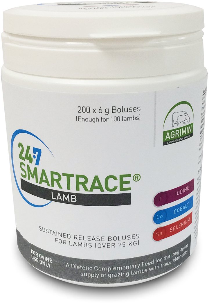 Agrimin 24/7 Copper Bolus Lamb 2g - Sheep Supplements