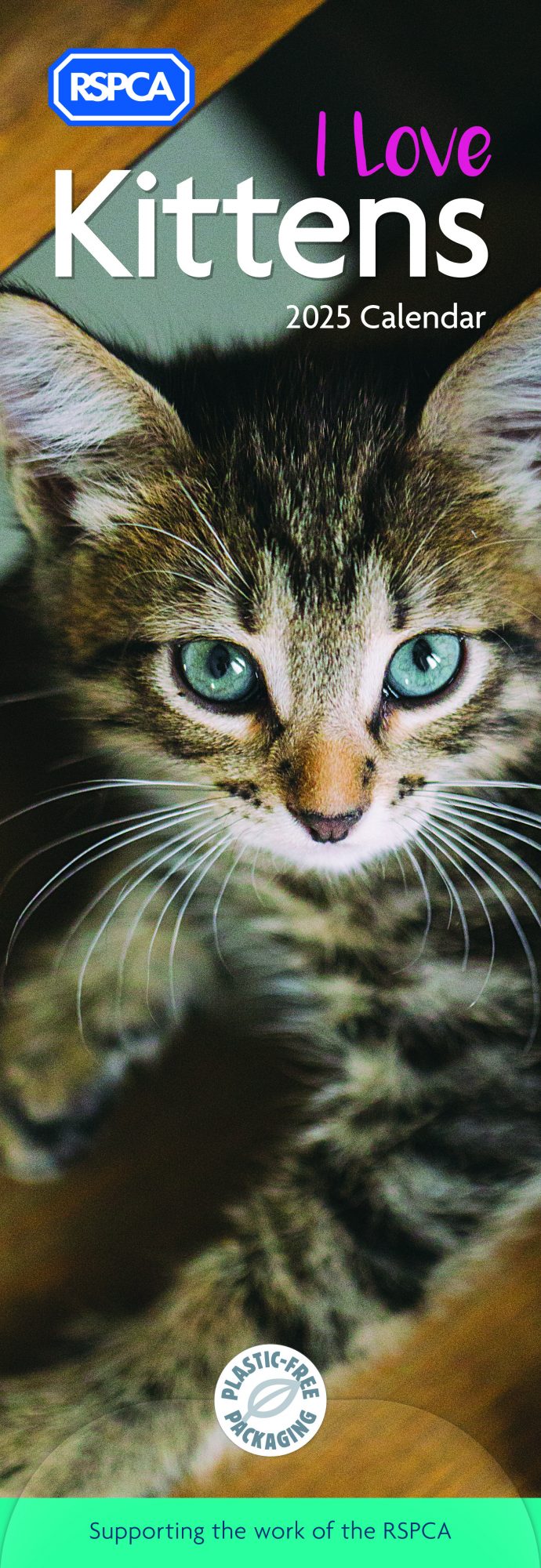 JADE RSPCA Kittens Slim Calendar - Calenders - Mole Avon