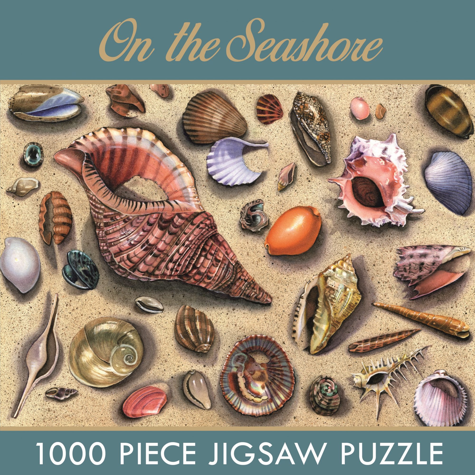 JADE On The Seashore Jigsaw 1000 Piece - Games & Puzzles - Mole Avon