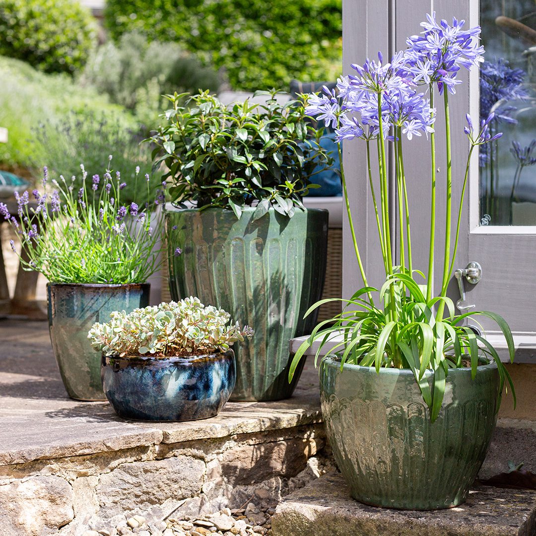 Apta Eden Bowl Plant Pot - Outdoor Pots