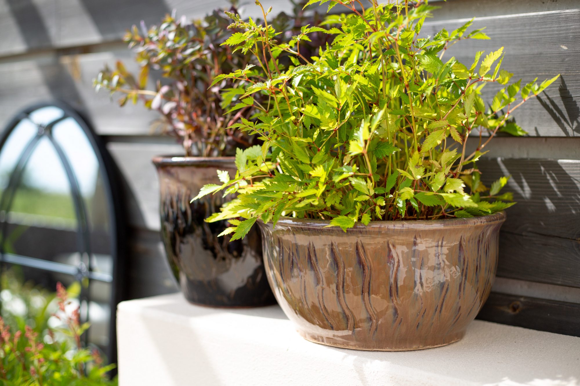 Apta Obsidian Bowl Plant Pot - Outdoor Pots