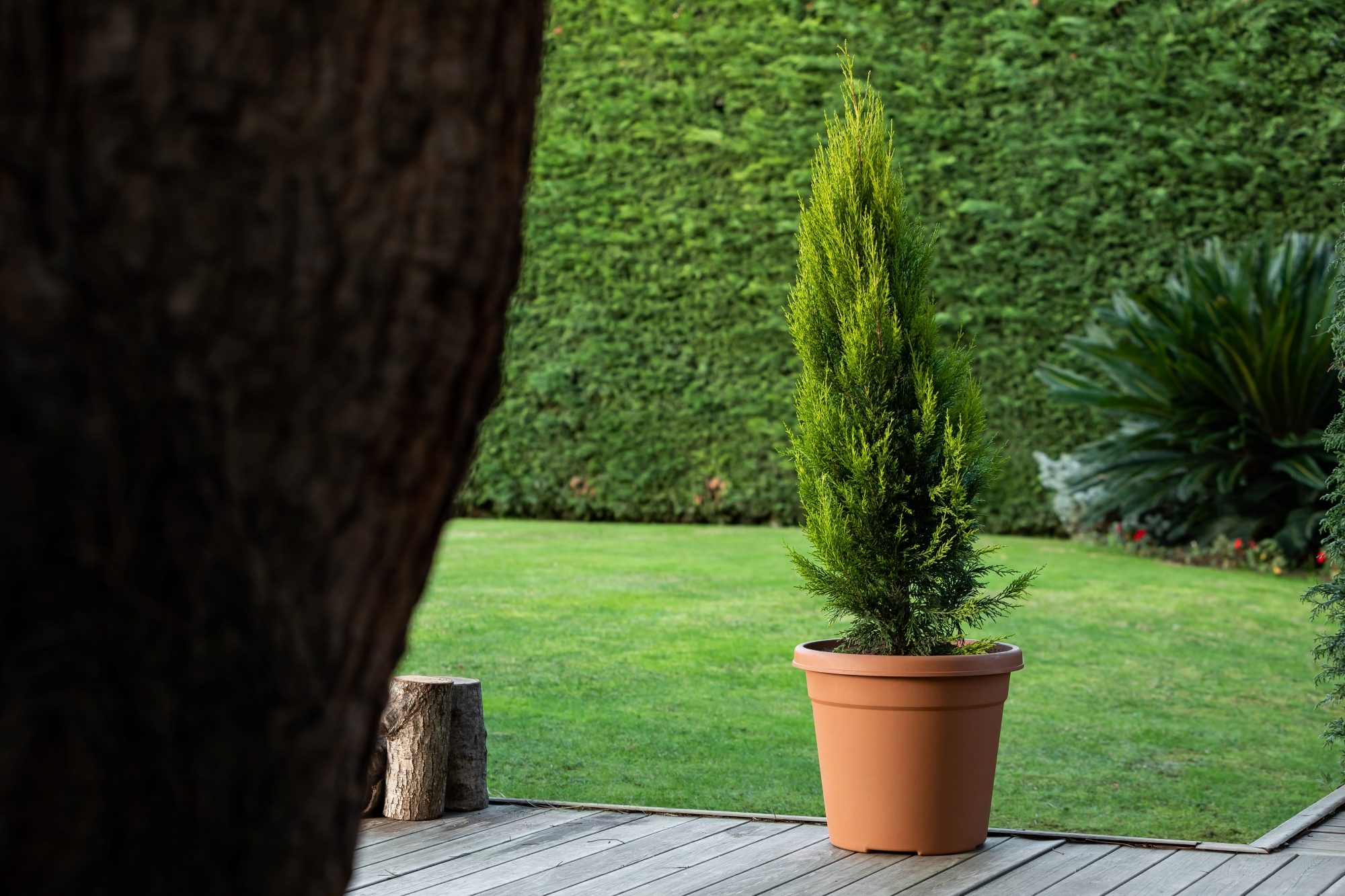 STEWART Stewart Oasis Flower Pot - Outdoor Pots