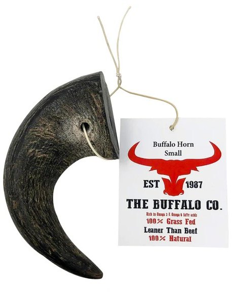 Buffalo Horn - Bones & Appendages