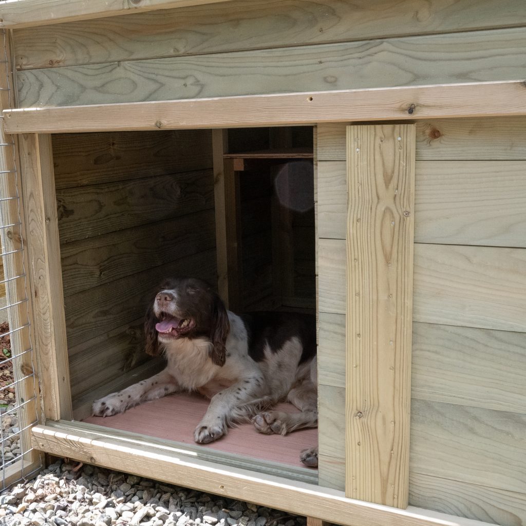 Forest Garden Large Dog Kennel & Run - Kennels & Plastic Beds