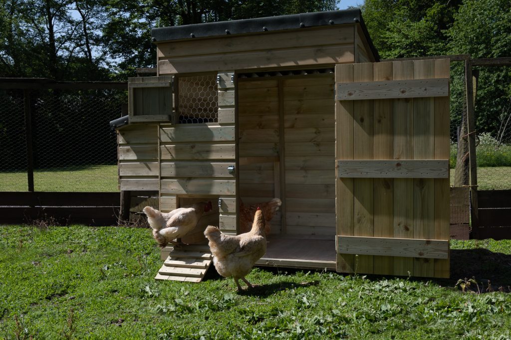 Forest Garden Large Hen House - Housing & Bedding