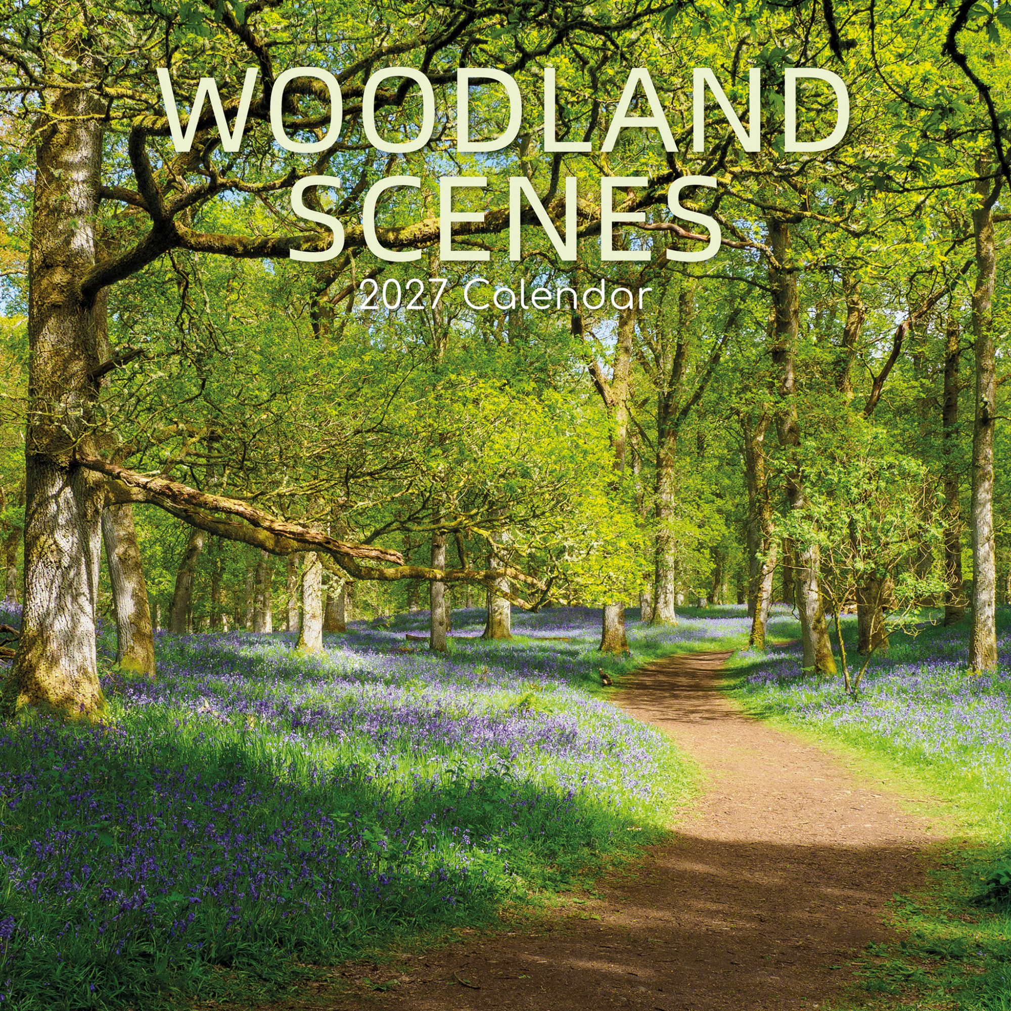 Gifted Stationary Square Woodland Scenes Calendar 2027 - Giftware