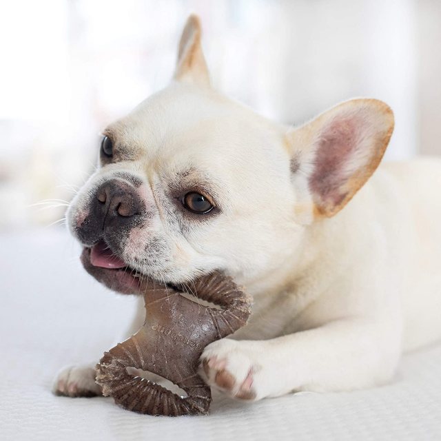 Are Benebones Safe For Dogs Teeth