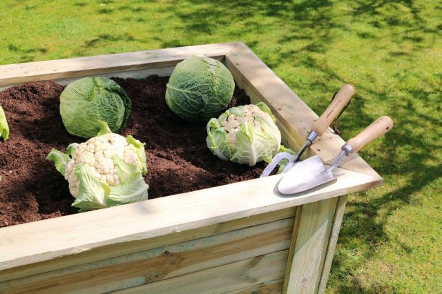 Deep Root Planter 1m - Decorative Planters