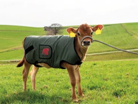 Hotline Calf Coat & Blanket - Calving Equipment