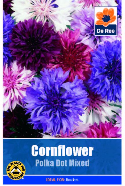 De Ree Cornflower Polka Dot Seed - Spring/Summer Flowers