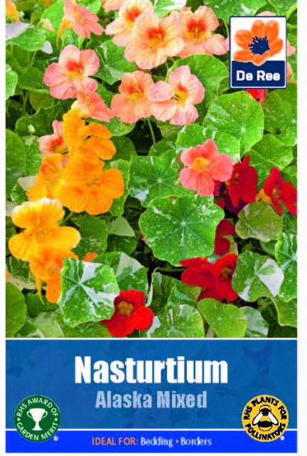 De Ree Nasturtium Alaska Mixed Seed - Spring/Summer Flowers